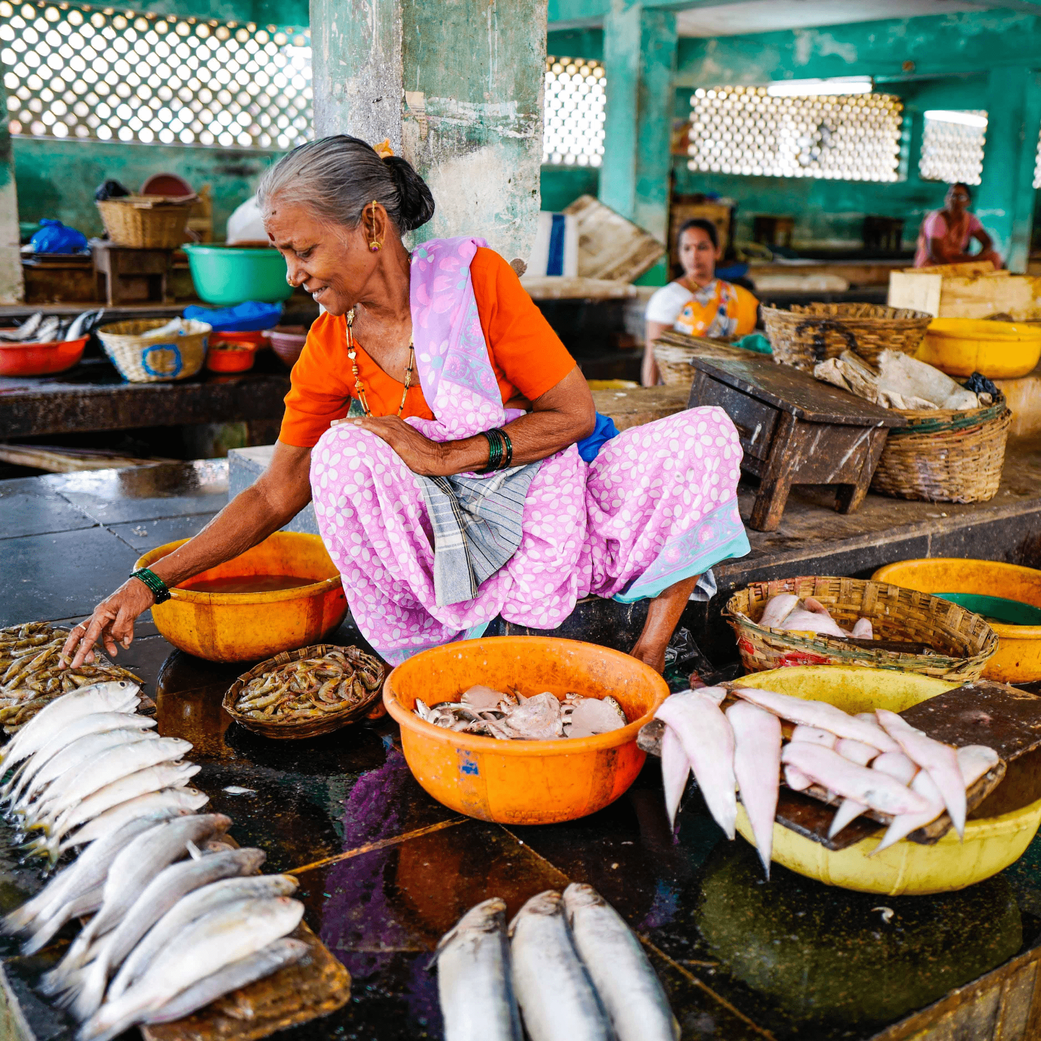 WholesalerShop - For all Wholesale Markets